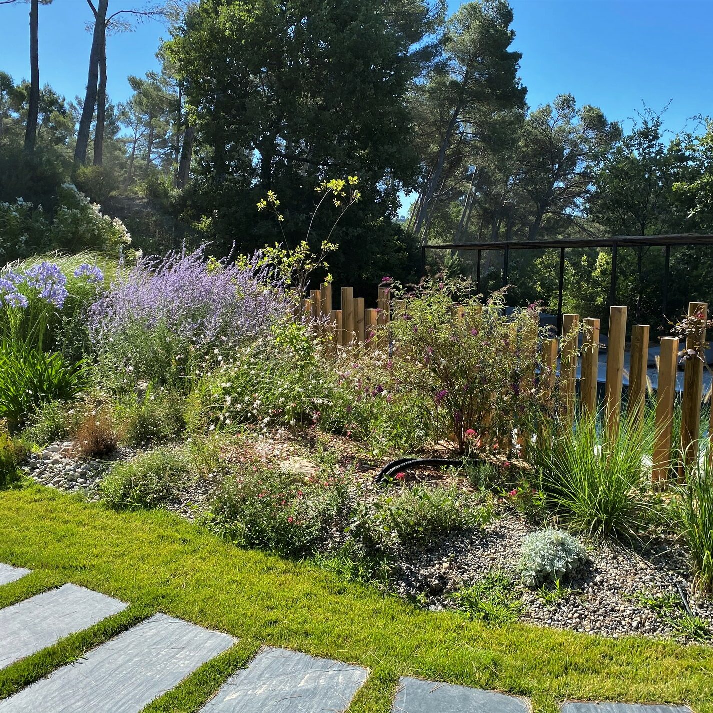 Jardin méditerranéen contemporain dans le Luberon - Bao Garden